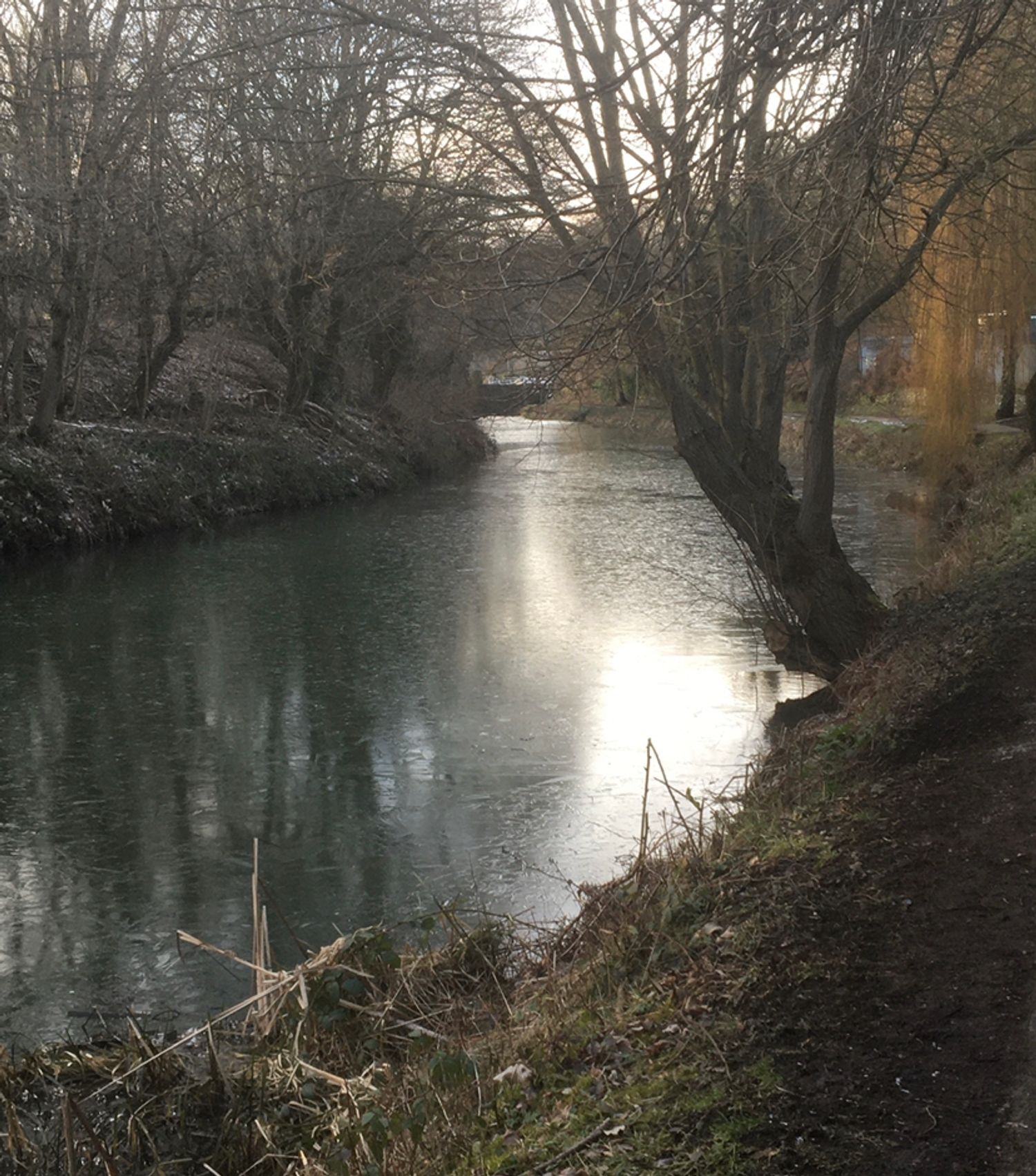 goodvibes!💫🔵 | QueUp