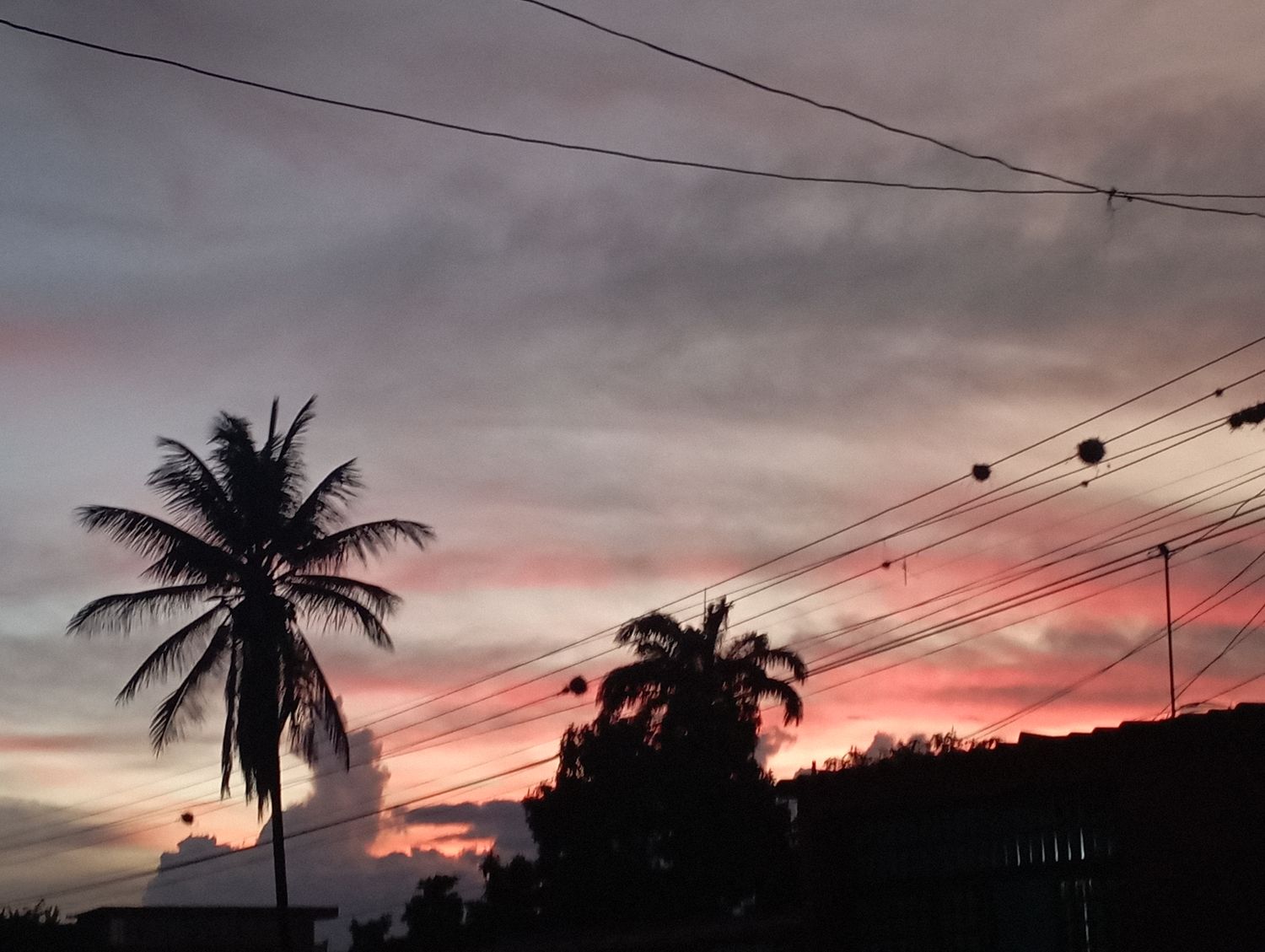 the disgusting bathroom of the psychiatric unit | QueUp